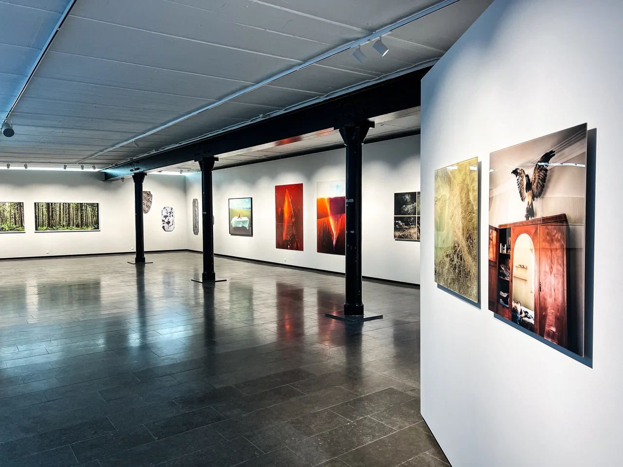 Picture This Gallery Picture This – Welma